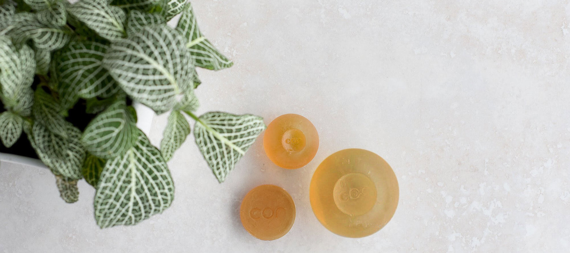 COR Silver Soap | COR Colloidal Silver Soap for Healthy Skin – Cor ...